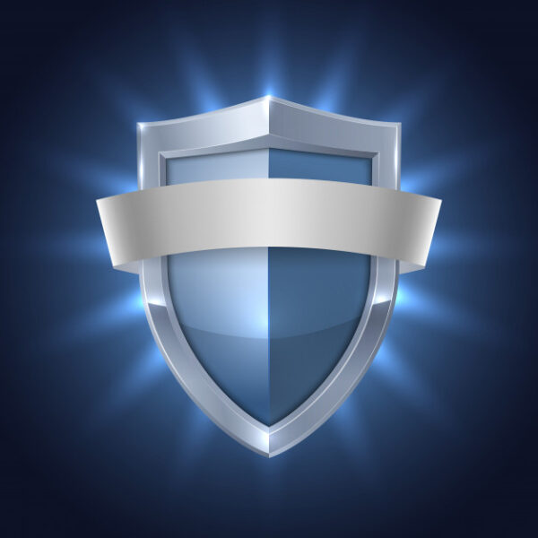 Web Security – Cybersec Solutions LLC